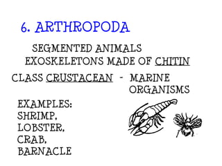 Animal classification | PPT