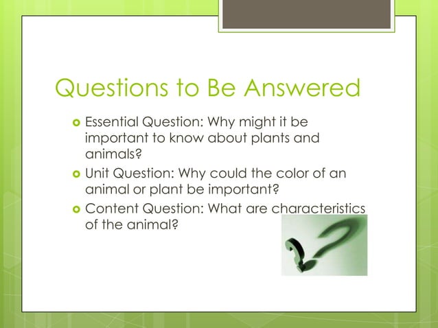 Animal classification | PPT