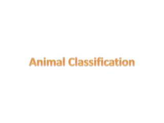 Animal classification | PPT