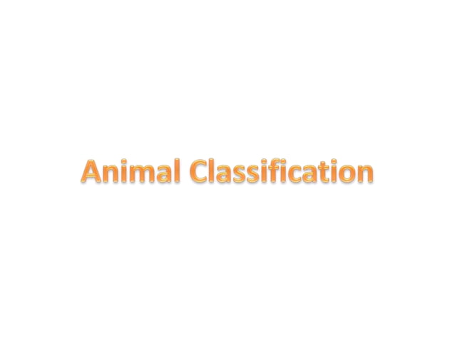 Animal classification | PPT