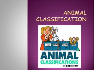 Animal classification | PPT