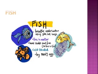 Animal classification | PPT