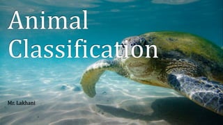 Animal classification | PPT