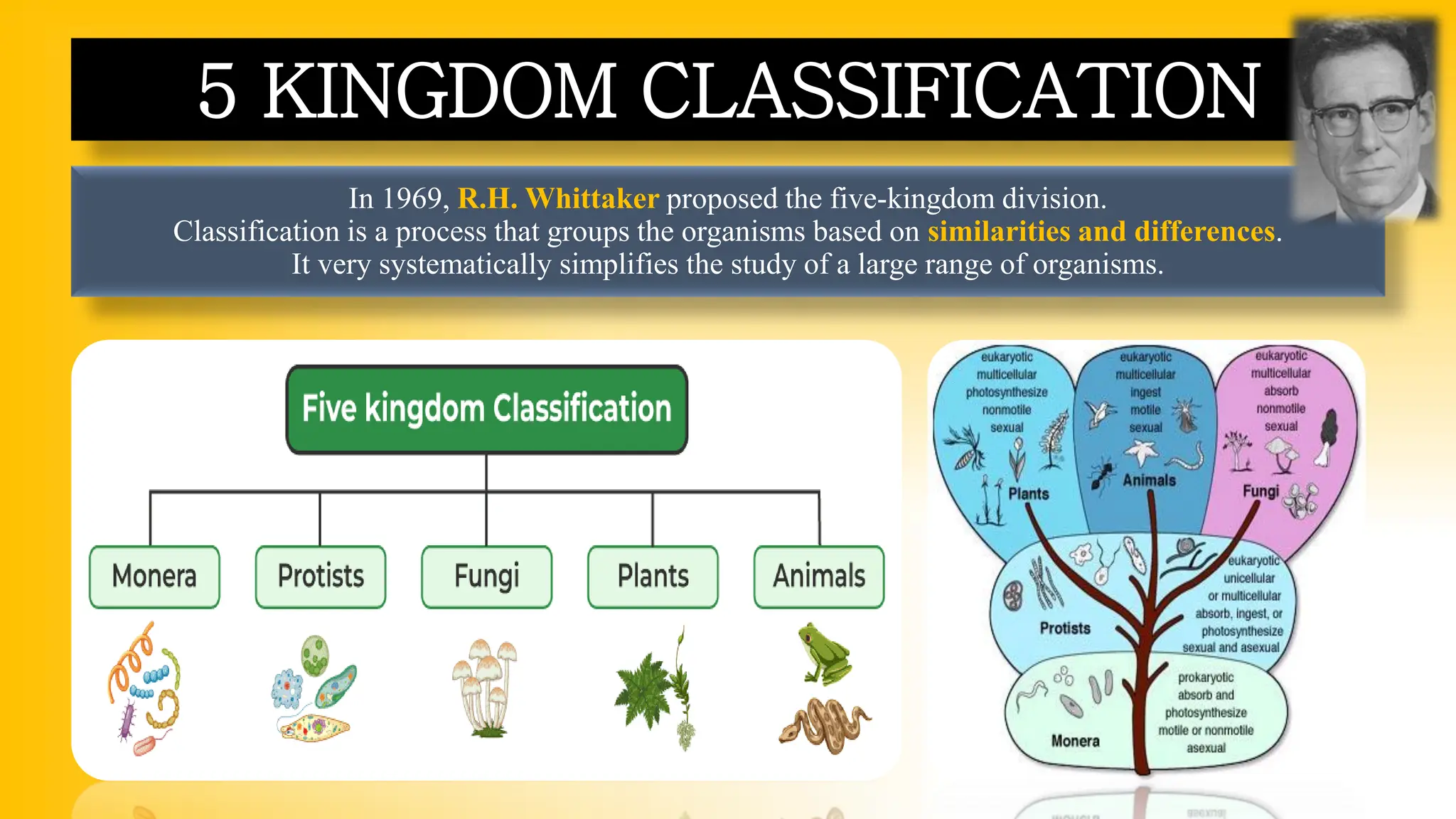 Animal Classification Based on 5 Kingdom Division.pdf
