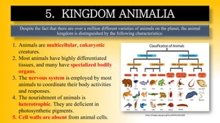 Animal Classification Based on 5 Kingdom Division.pdf