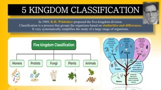 Animal Classification Based on 5 Kingdom Division.pdf