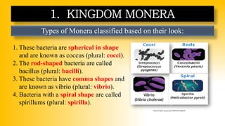 Animal Classification Based on 5 Kingdom Division.pdf