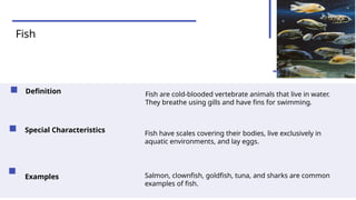 Animal Classification.pptxdaaaaaaaaaaaaaaaaaaaaaaaaaaaaaa | PPTX