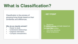 Animal_Classification based on food habits | PPTX