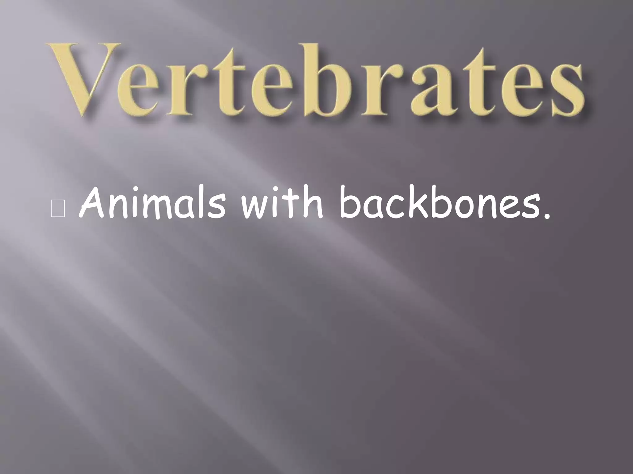 Animal Classification (Grade 5) | PPTX