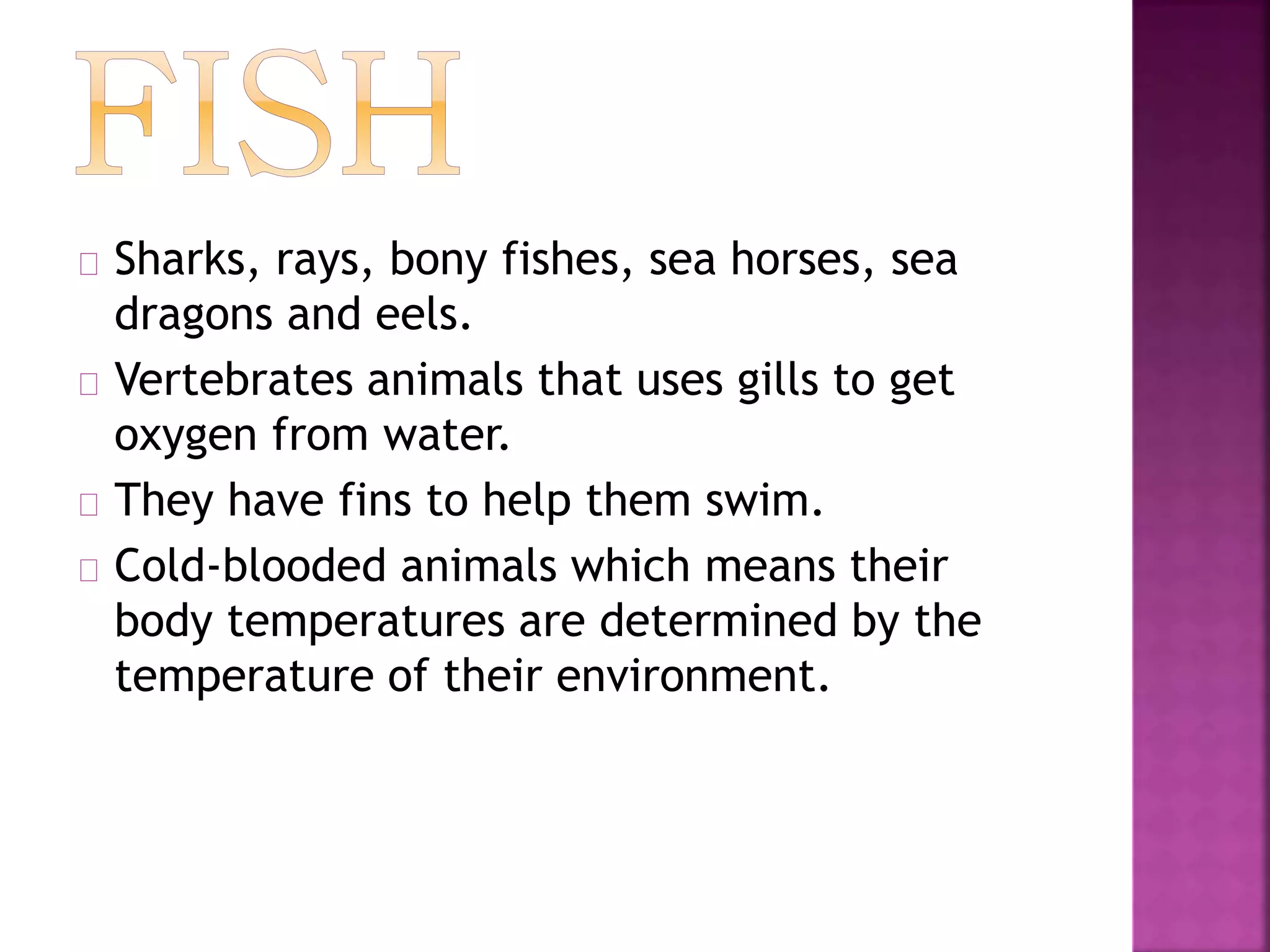 Animal Classification (Grade 5) | PPTX | Reptiles | Pets