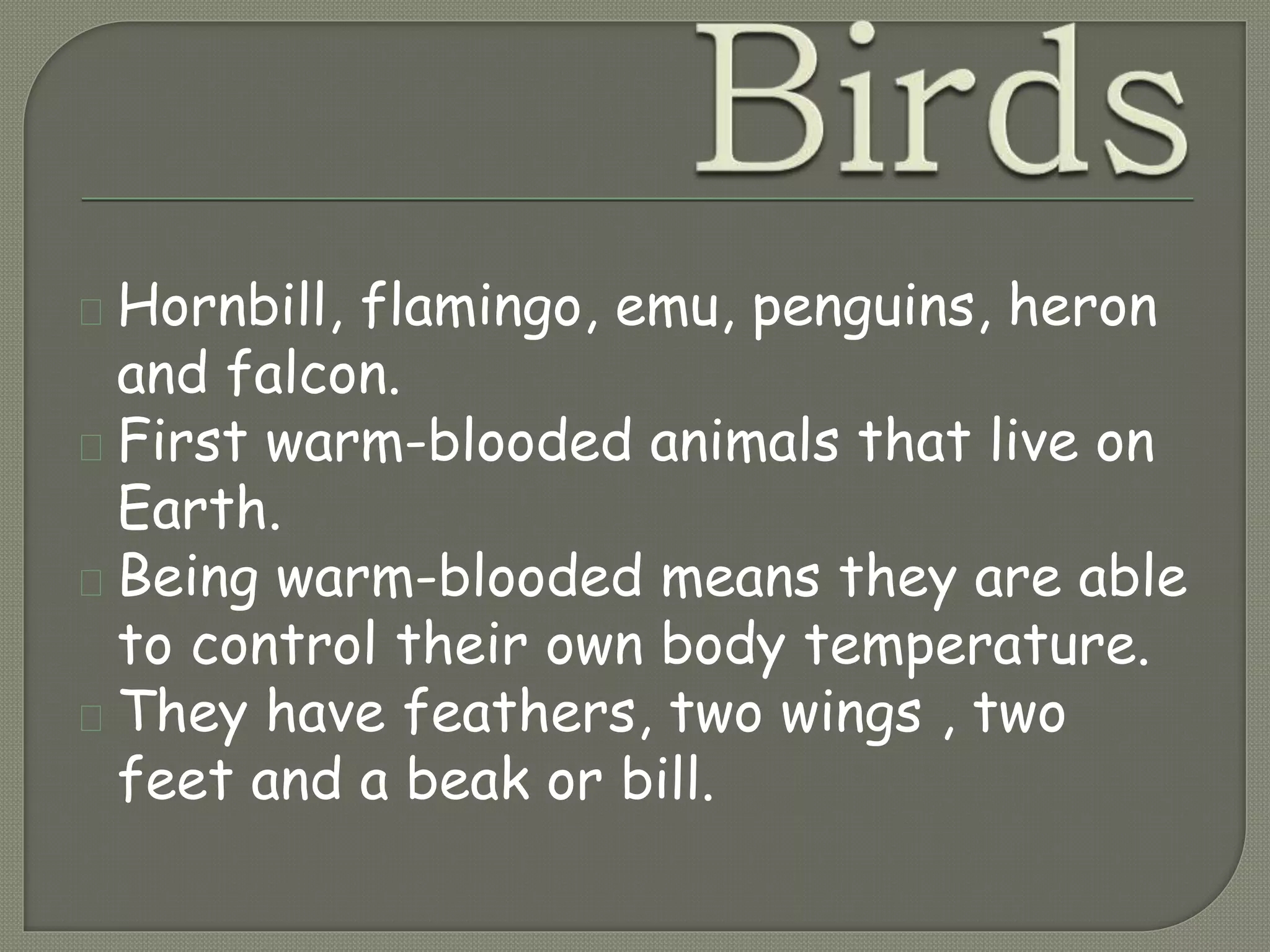 Animal Classification (Grade 5) | PPTX