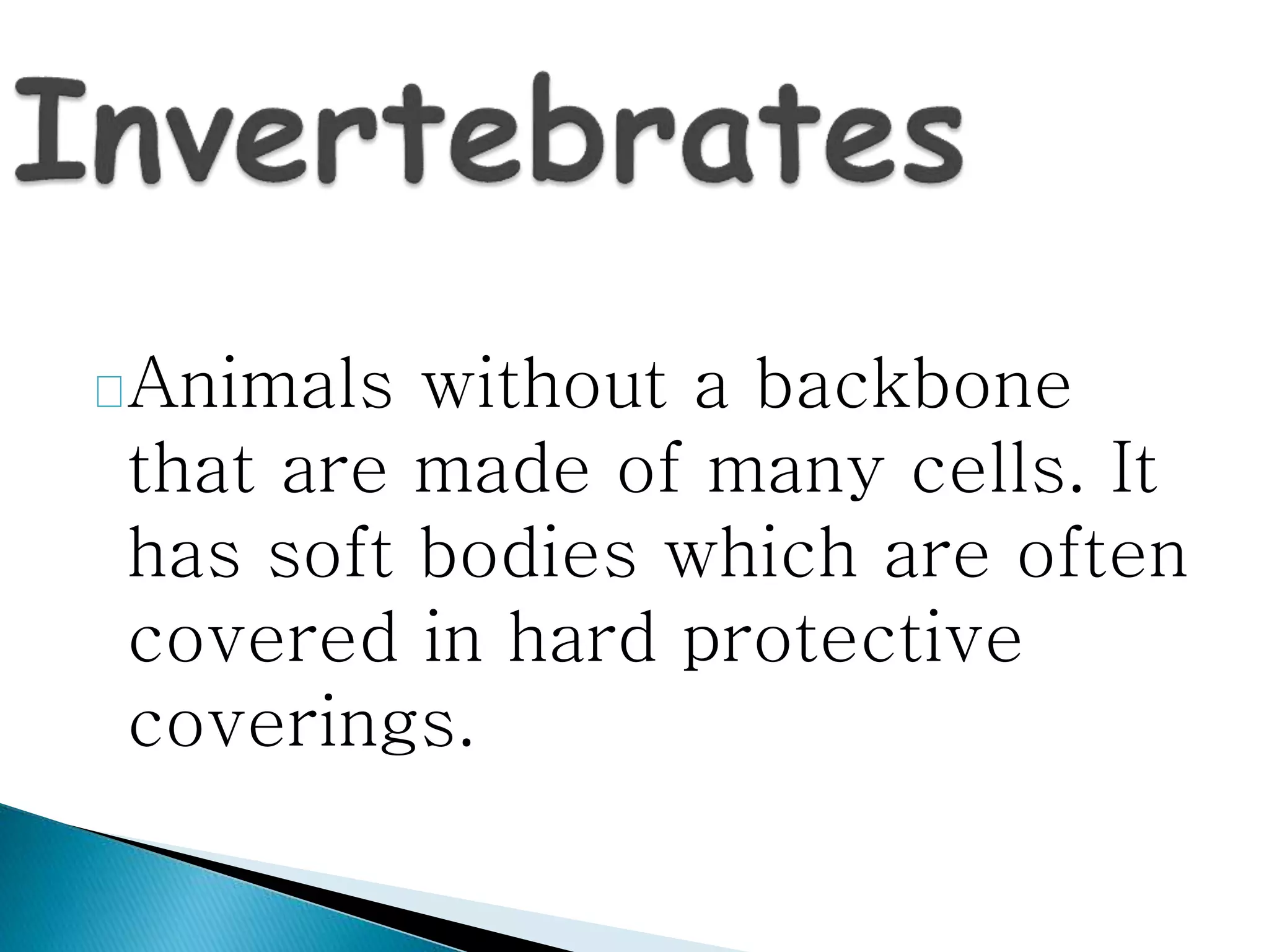 Animal Classification (Grade 5) | PPTX