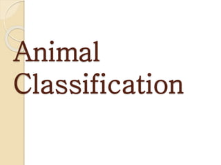 Animal Classification (Grade 5) | PPTX