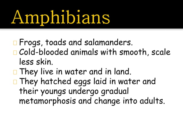 Animal Classification (Grade 5) | PPTX | Reptiles | Pets