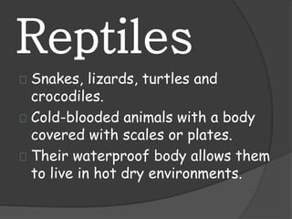 Animal Classification (Grade 5) | PPTX