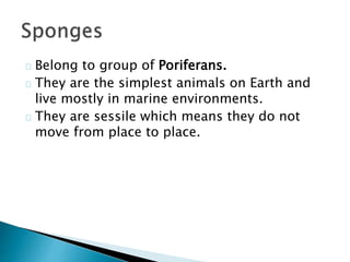 Animal Classification (Grade 5) | PPTX