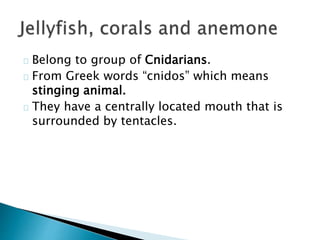 Animal Classification (Grade 5) | PPTX