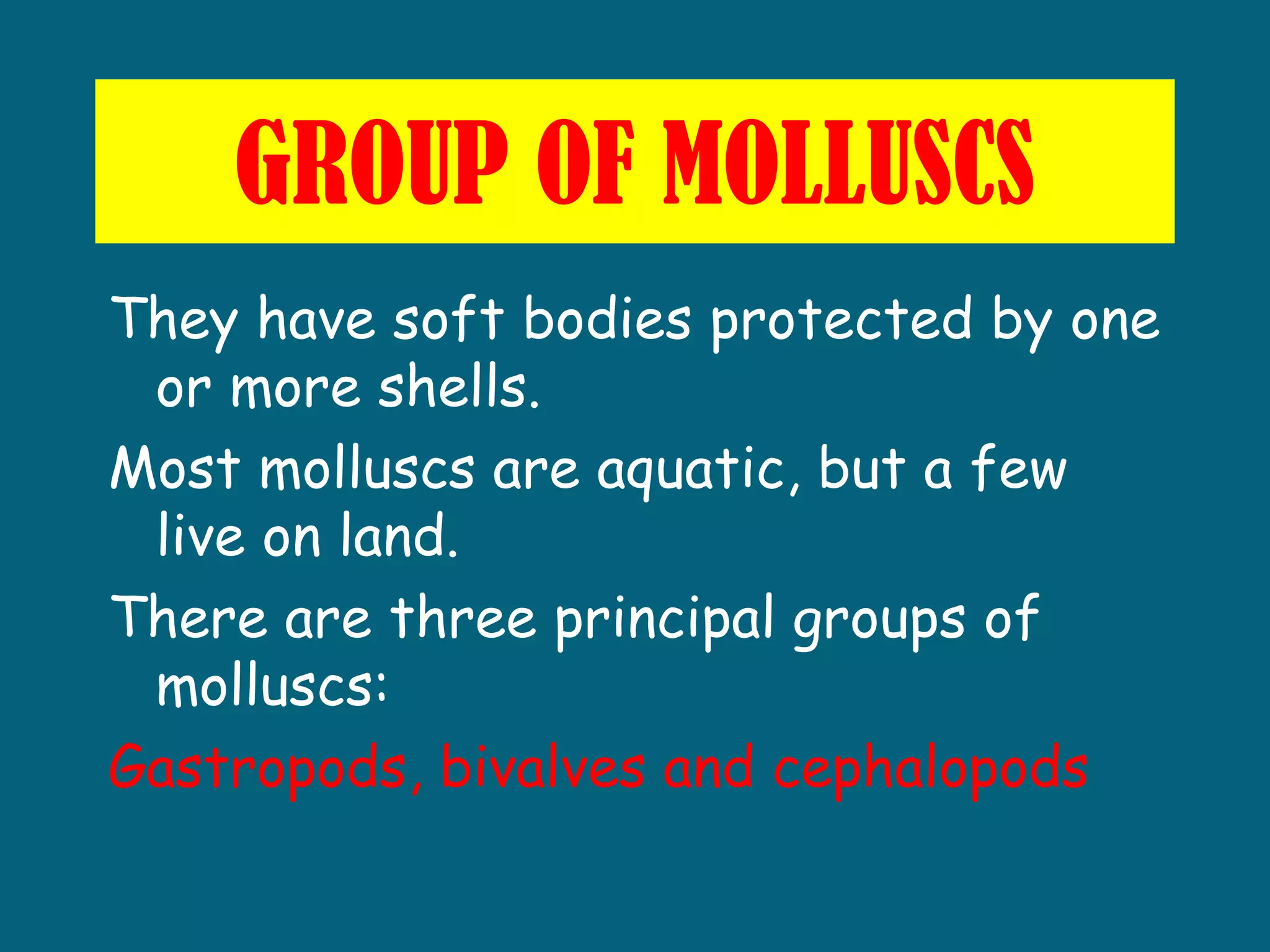Animal classification invertebrates 5th grade | PPT