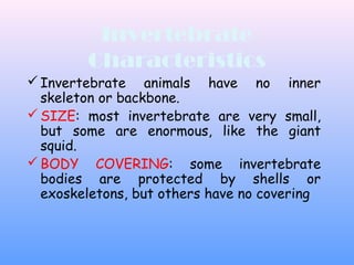 Animal classification invertebrates 5th grade | PPT