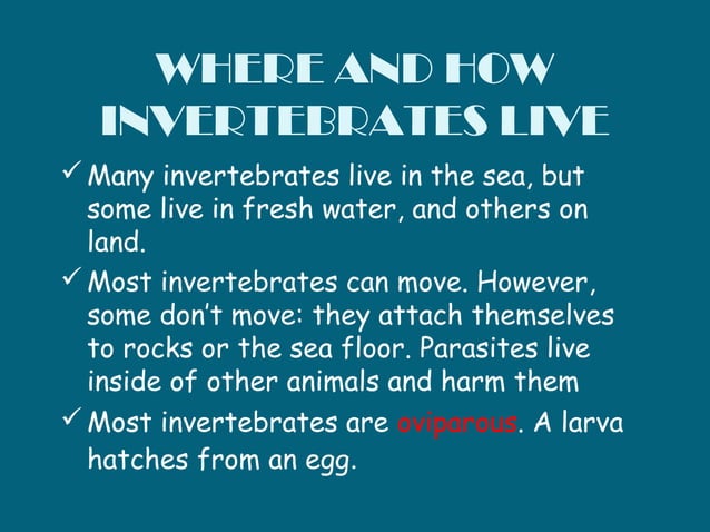 Animal classification invertebrates 5th grade | PPT | Fish and ...