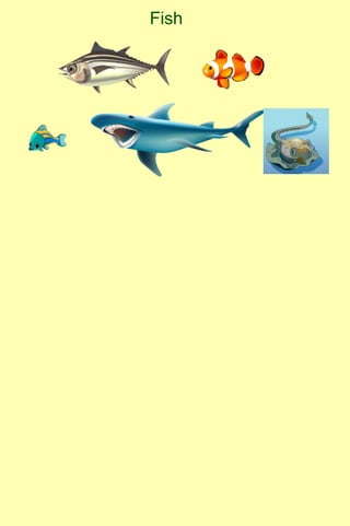 Animal classification KAH | PPTX