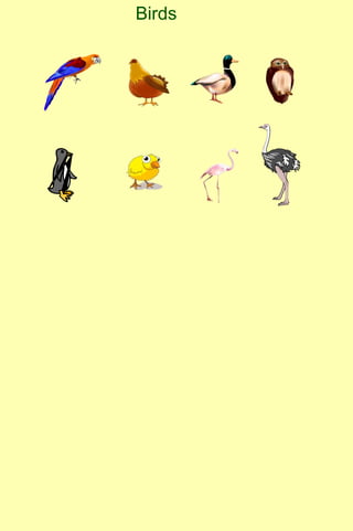 Animal classification KAH | PPTX