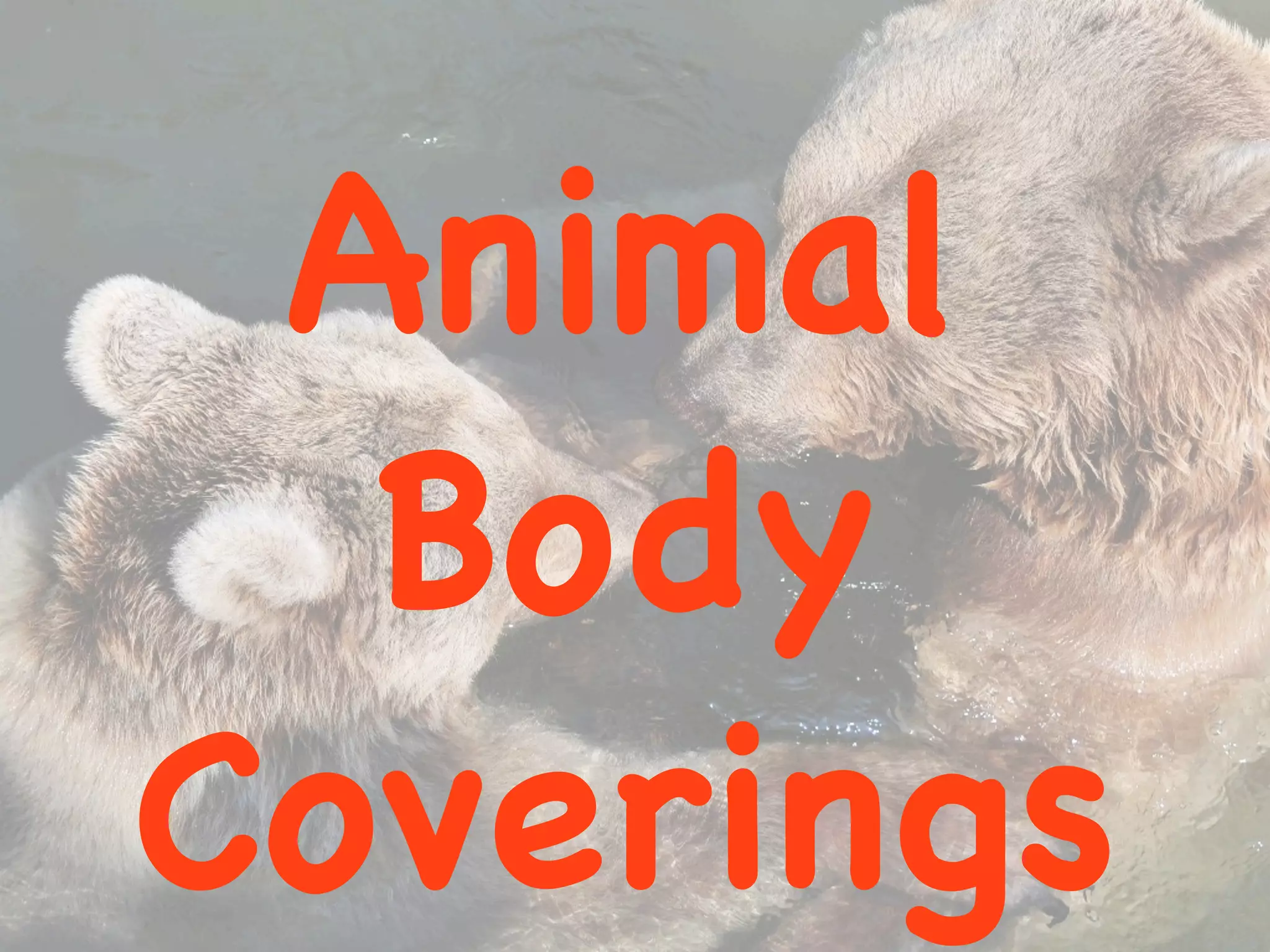 Animal classification lesson plan presentation (revised) | KEY