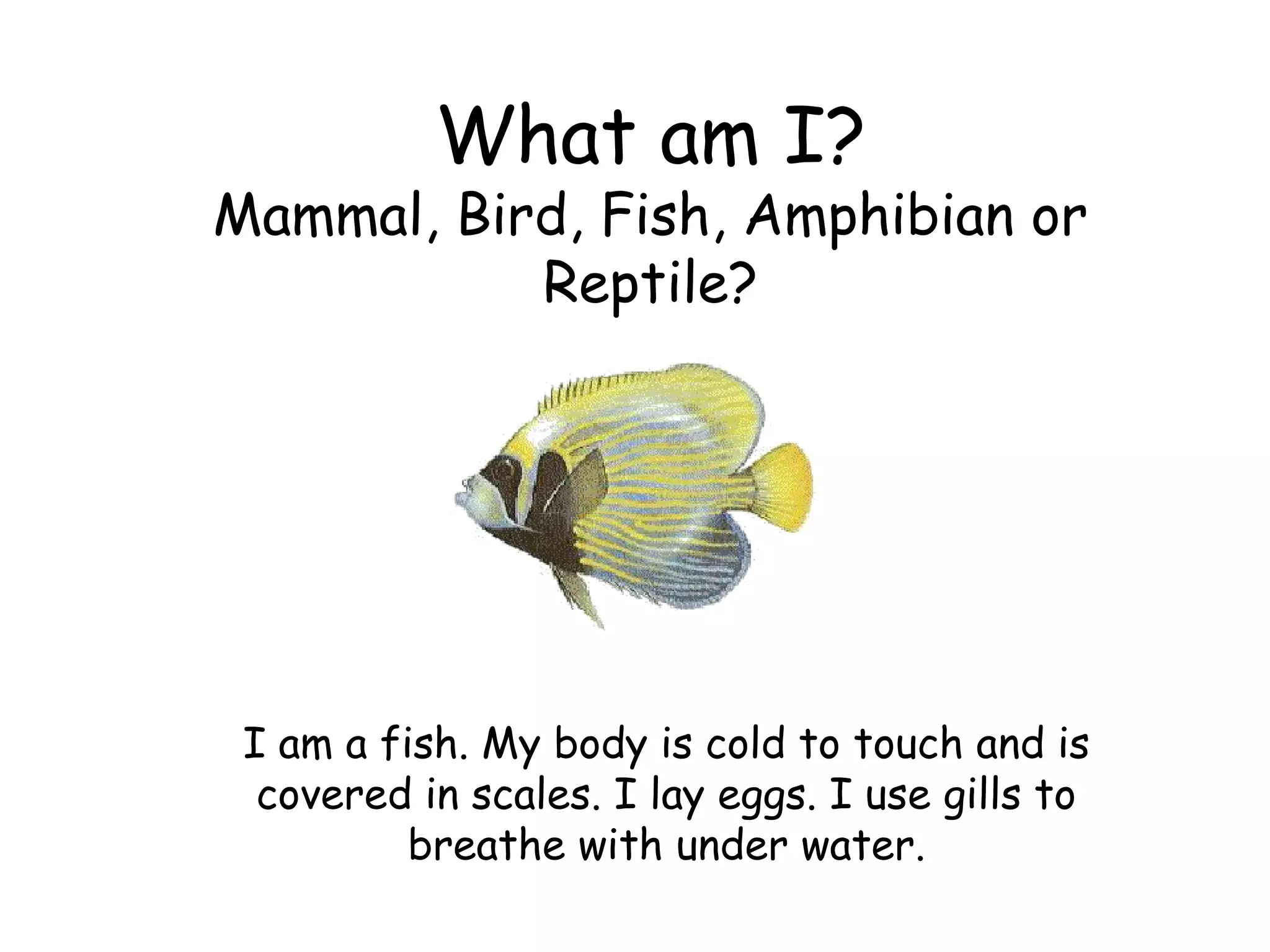 Animal classification powerpoint | PPT