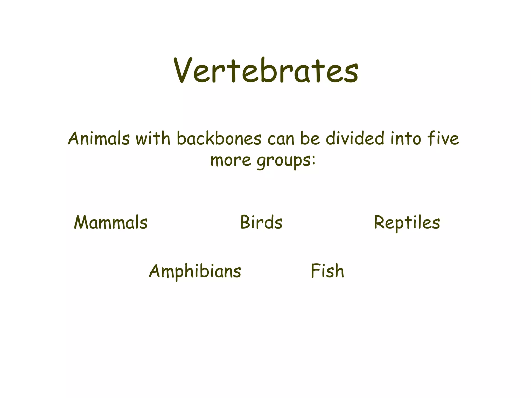 Animal classification powerpoint | PPT
