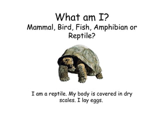 Animal classification powerpoint | PPT