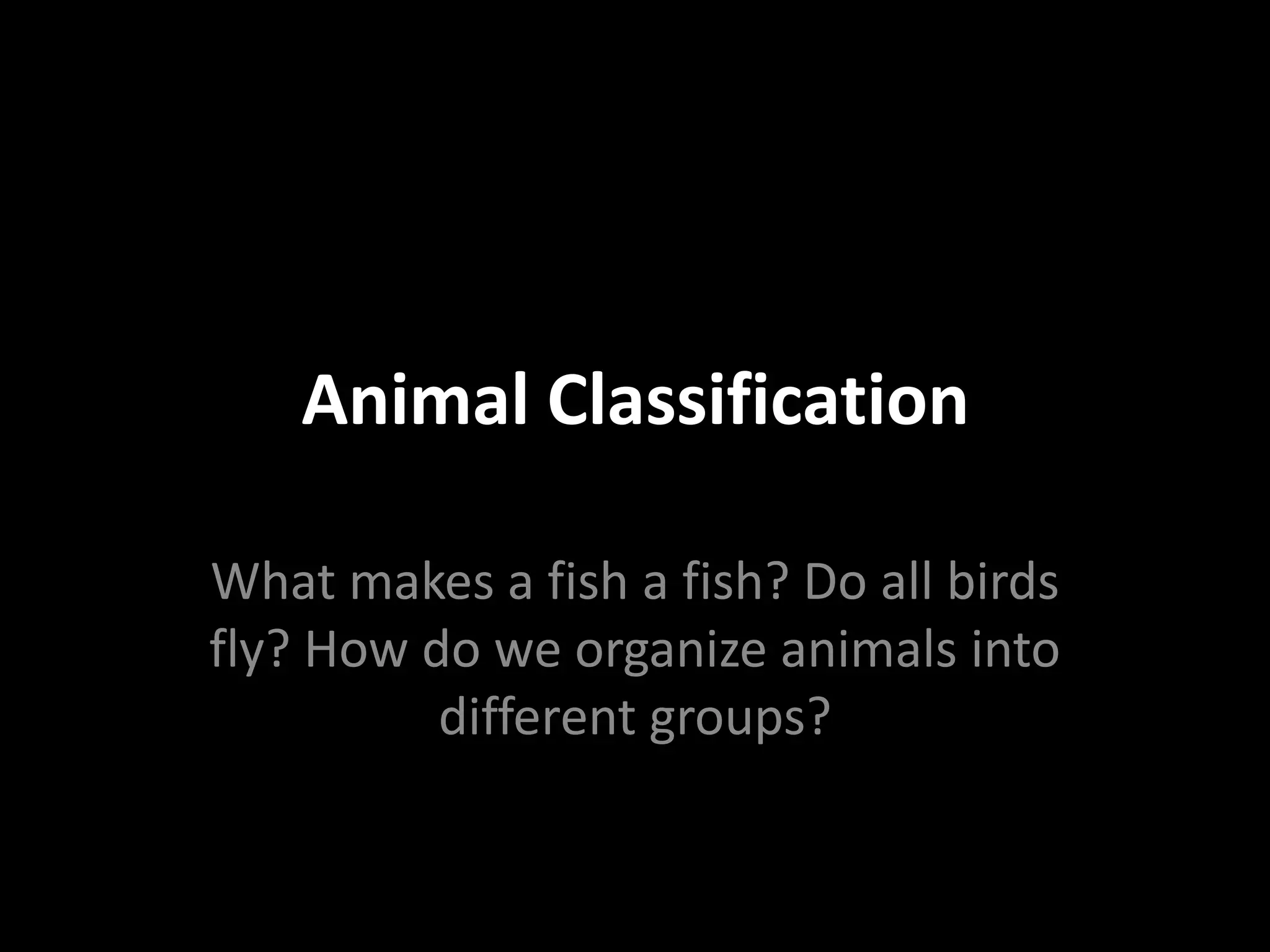 Animal classification (slideshare version - no hyperlinks) | PPTX