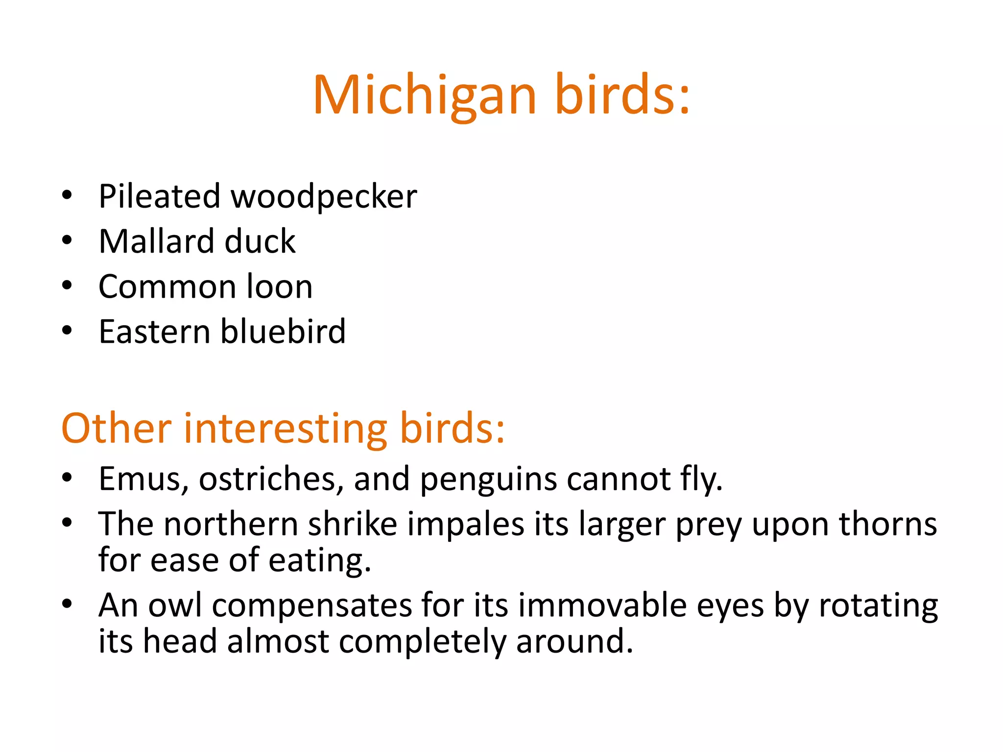 Animal classification (slideshare version - no hyperlinks) | PPTX