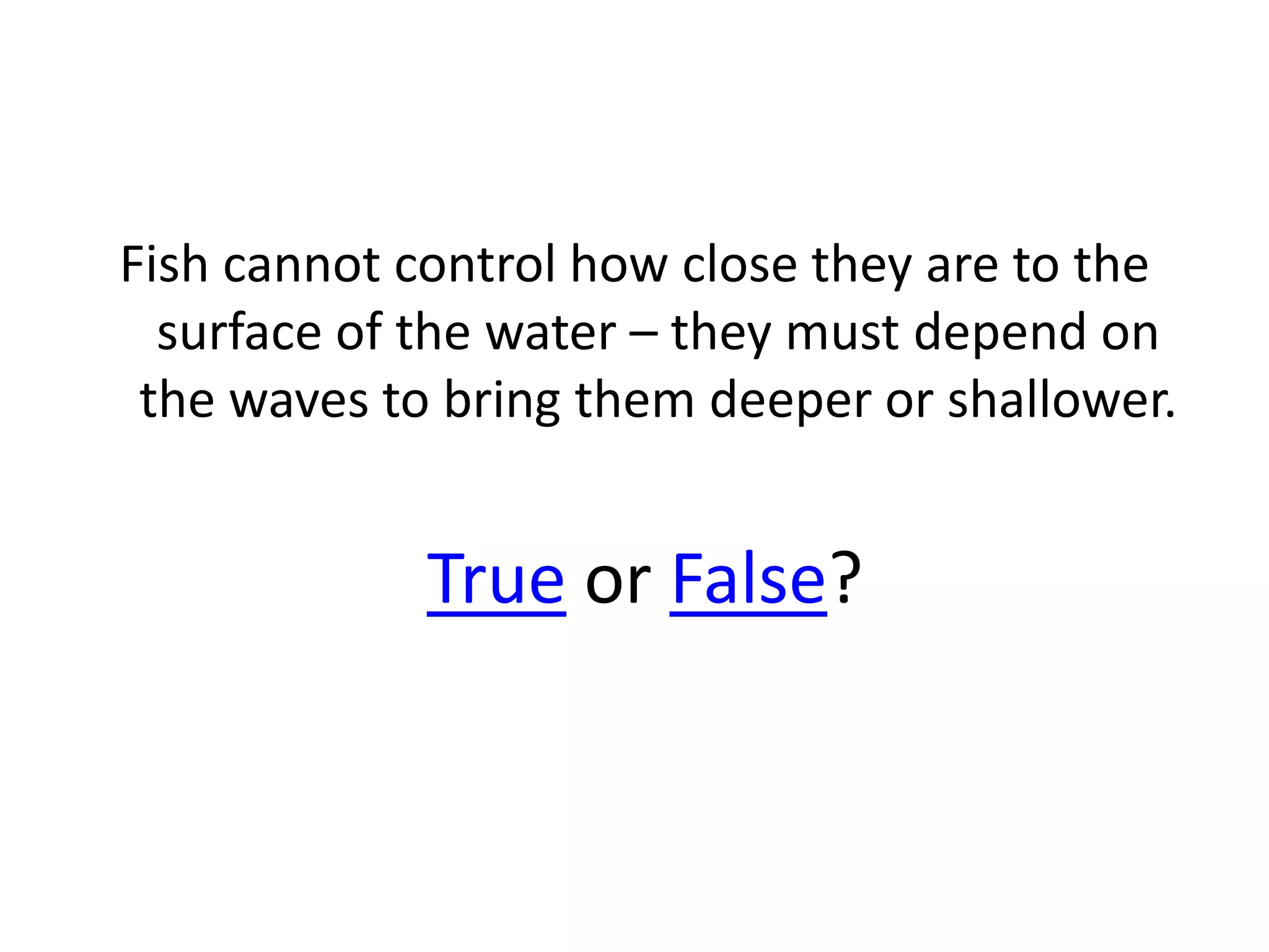 Animal classification (slideshare version - no hyperlinks) | PPTX