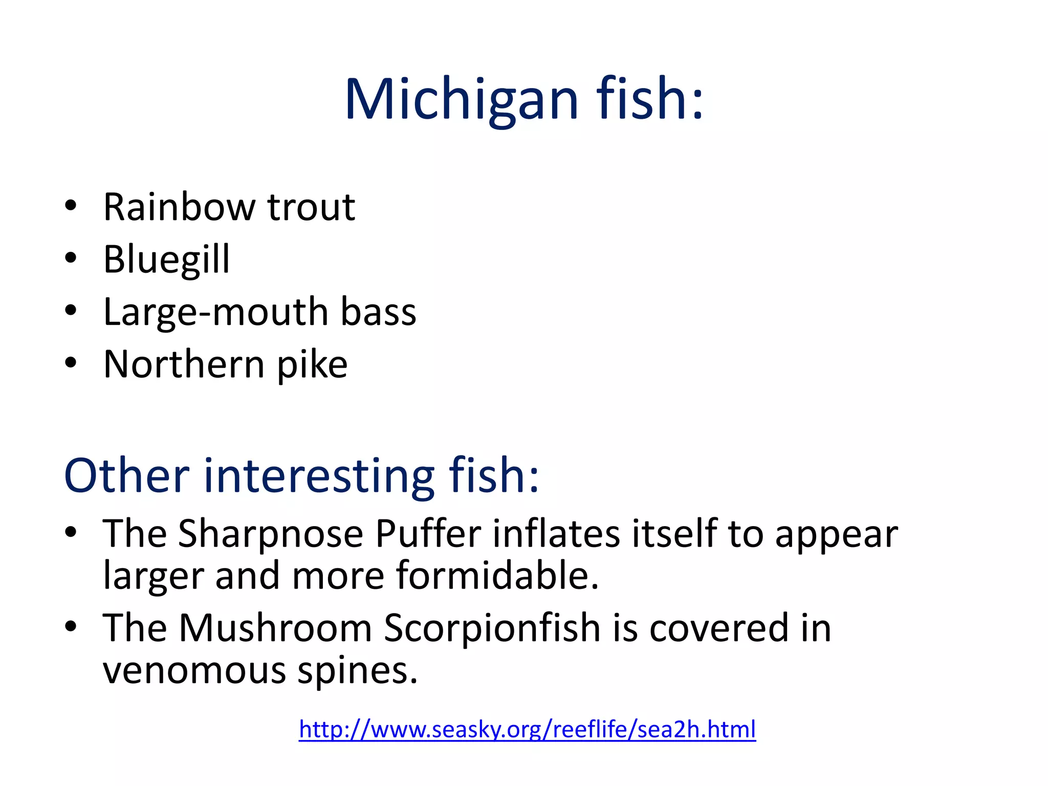 Animal classification (slideshare version - no hyperlinks) | PPTX