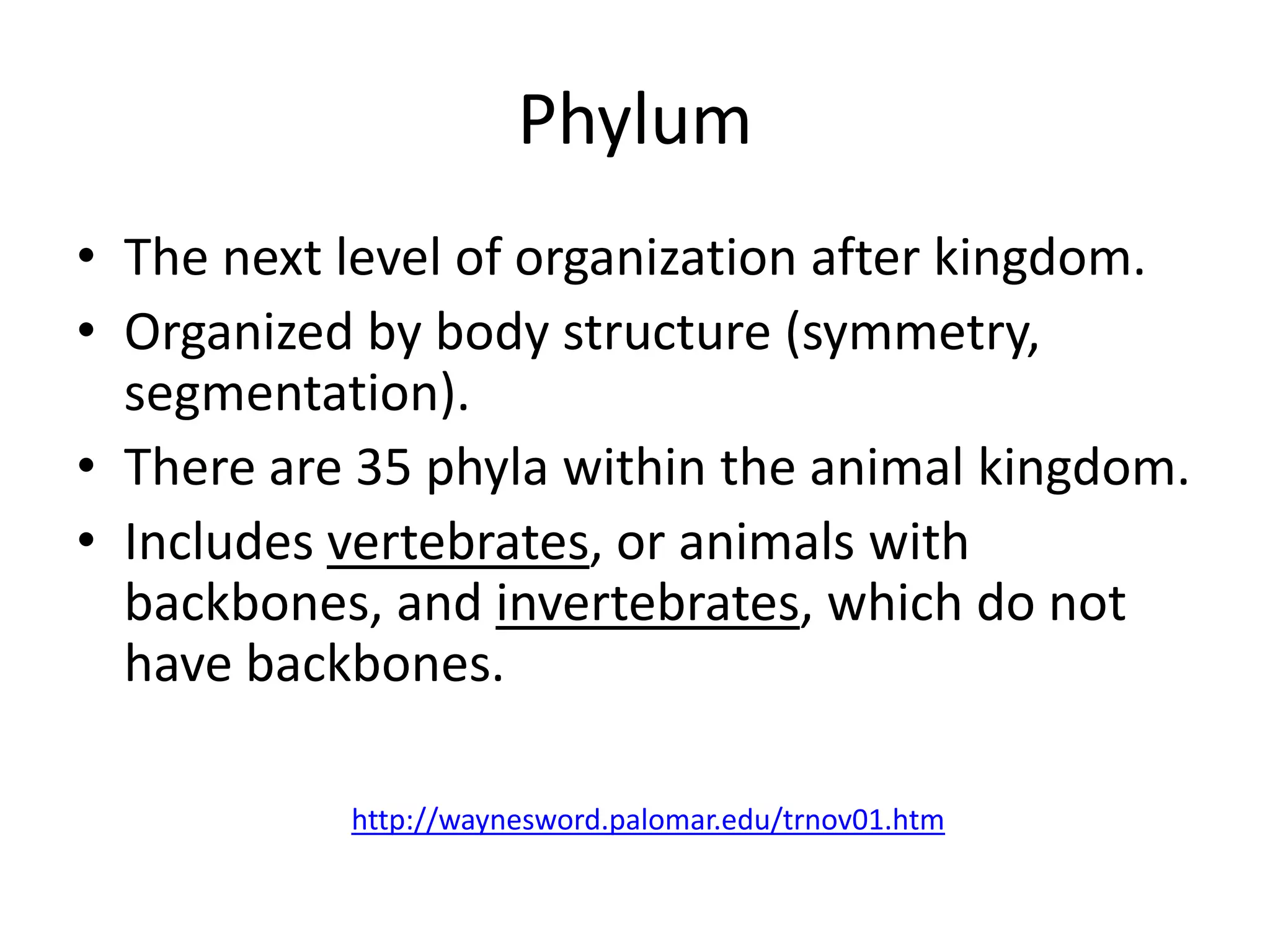 Animal classification (slideshare version - no hyperlinks) | PPTX