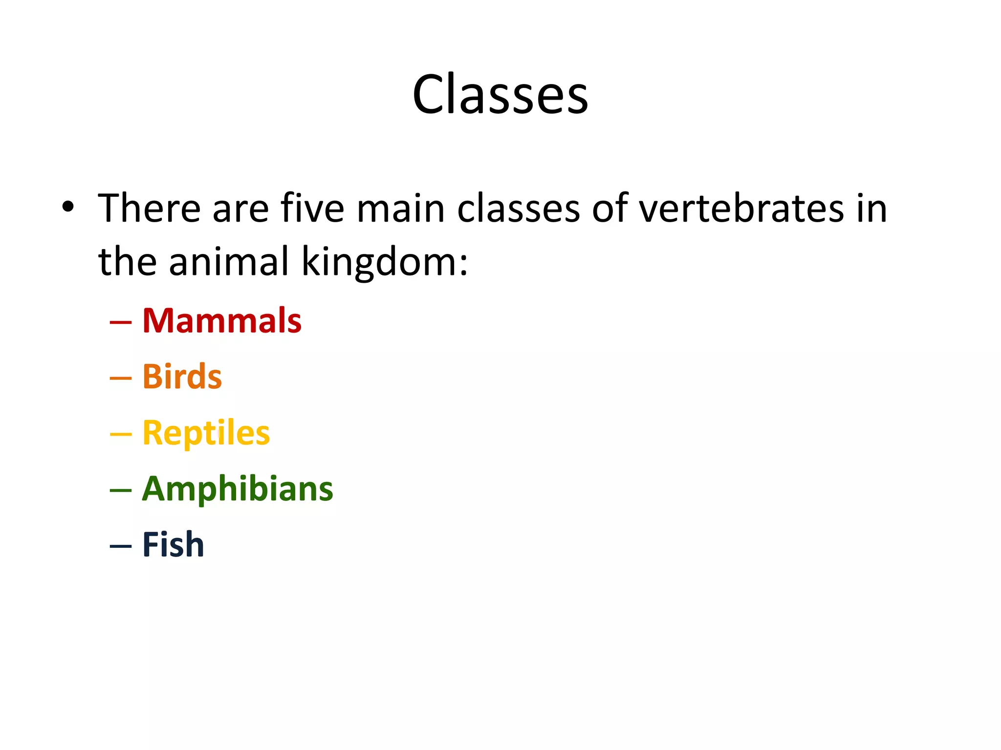 Animal classification (slideshare version - no hyperlinks) | PPTX
