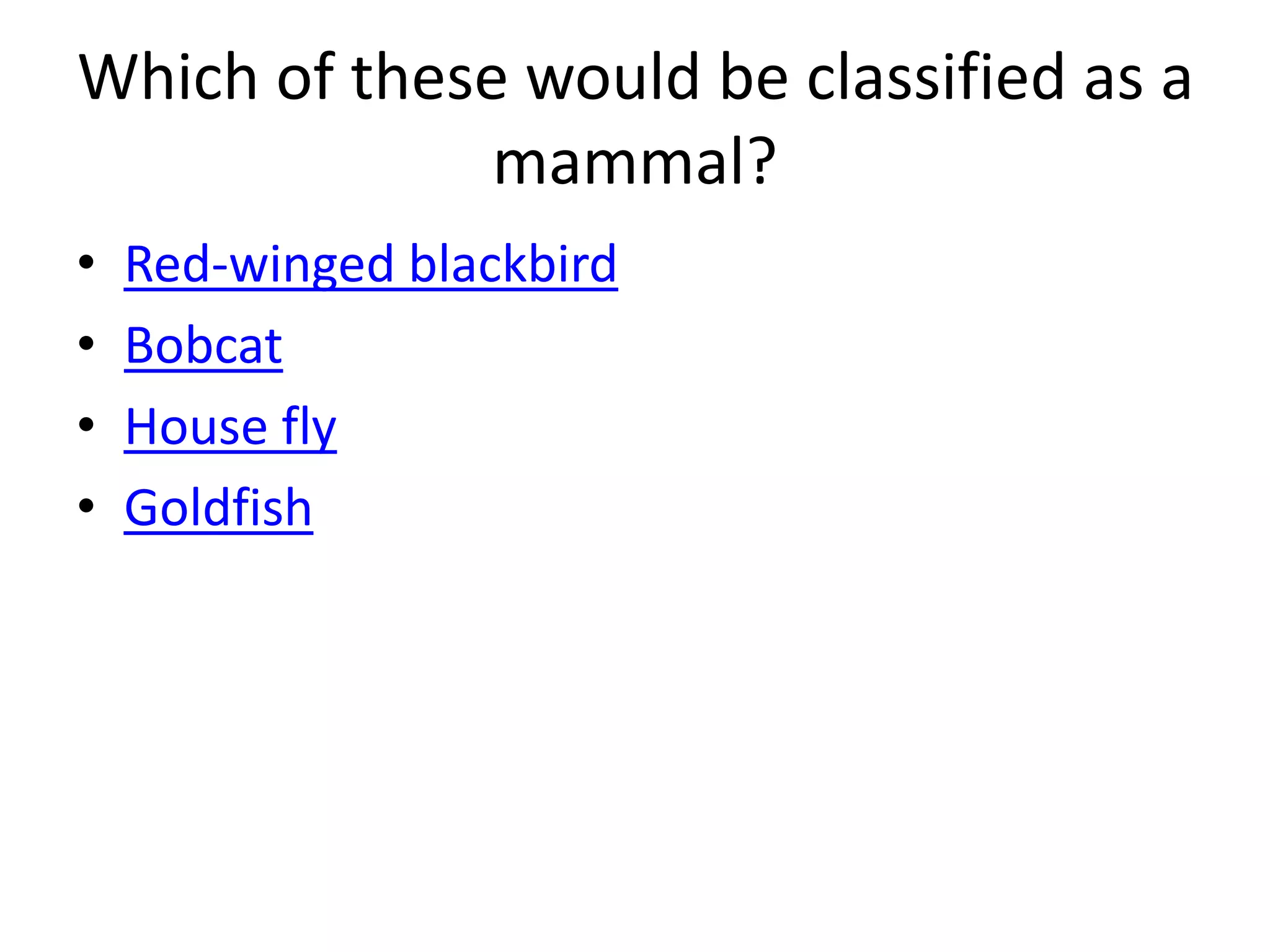 Animal classification (slideshare version - no hyperlinks) | PPTX