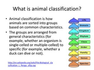 Animal classification (slideshare version - no hyperlinks) | PPTX