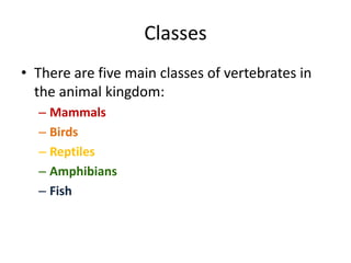 Animal classification (slideshare version - no hyperlinks) | PPTX