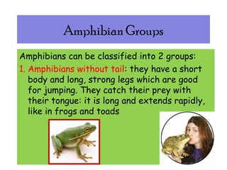 Animal classification vertebrates 5th grade | PPT