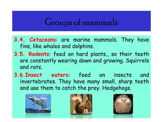 Animal classification vertebrates 5th grade | PPT