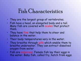 Animal classification vertebrates 5th grade | PPT