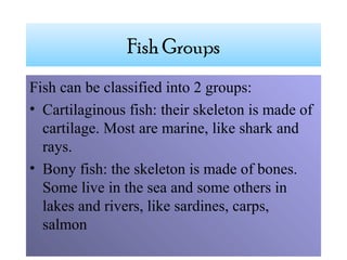 Animal classification vertebrates 5th grade | PPT