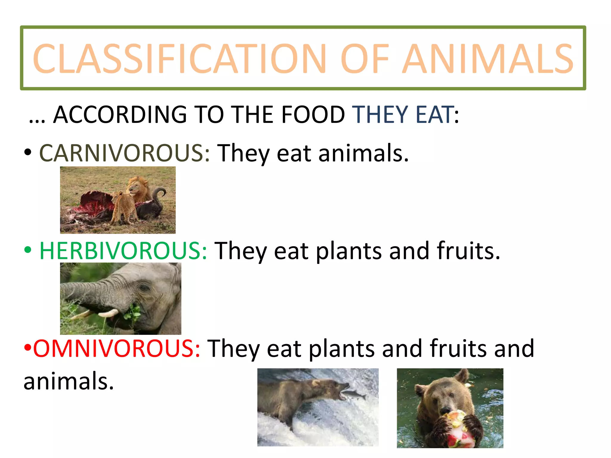 Animal classification y1 | PPTX