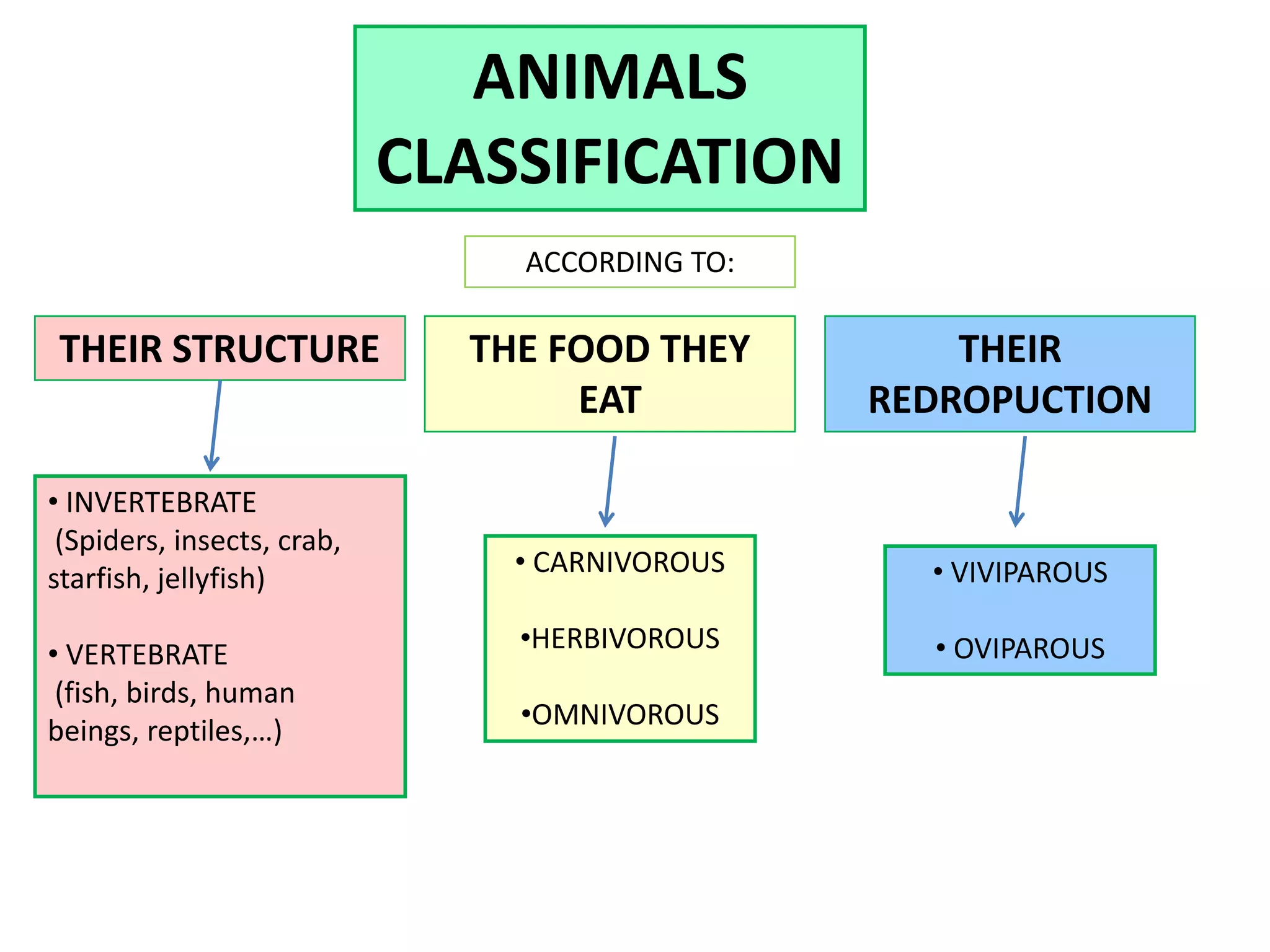 Animal classification y1 | PPTX