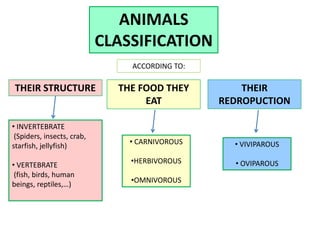 Animal classification y1 | PPTX