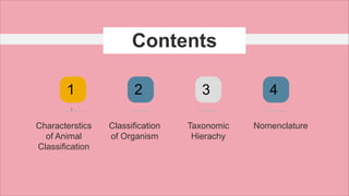 Animal classificaton and phylogeny organism Millar and Harley Zoology ...