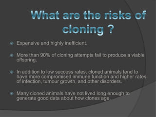 Animal cloning | PPTX