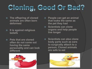 Deformed Cloned Animals